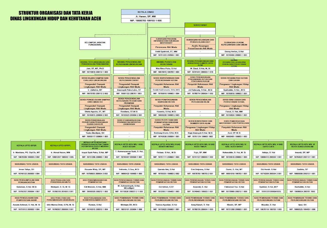 Download Struktur DLHK Aceh versi Pdf